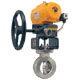 Fisher Actuators